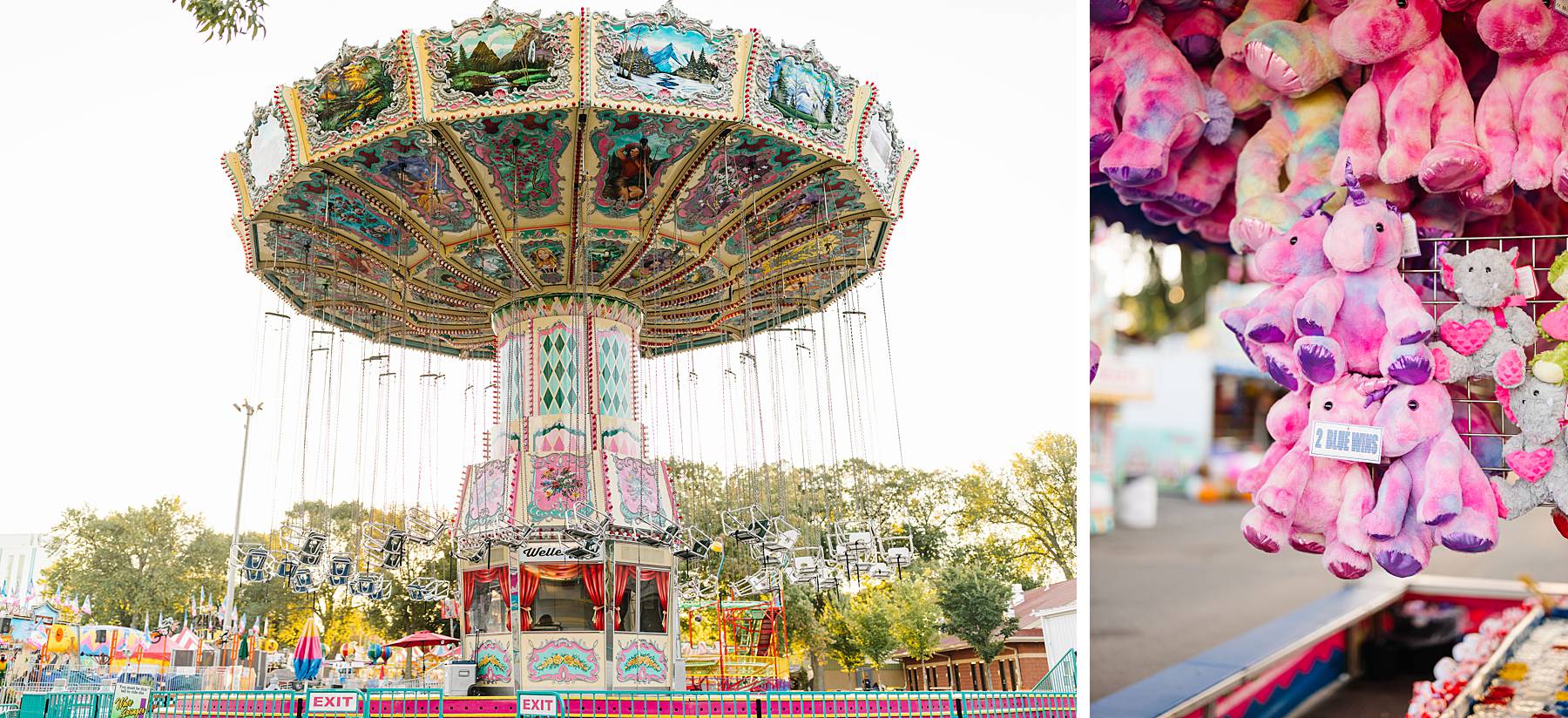 Minnesota State Fair | Fall Family Portrait Session ...