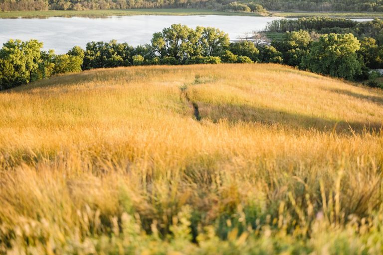 Eden Prairie | Fall Engagement - shanelongphotography.com