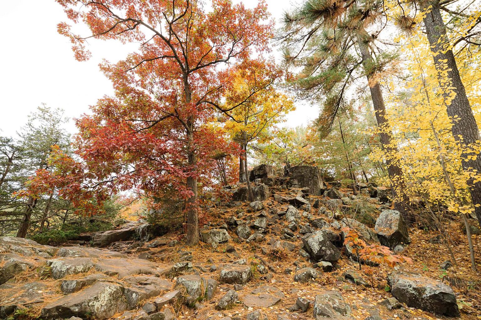 Interstate State Park, Minnesota | Fall Engagement ...