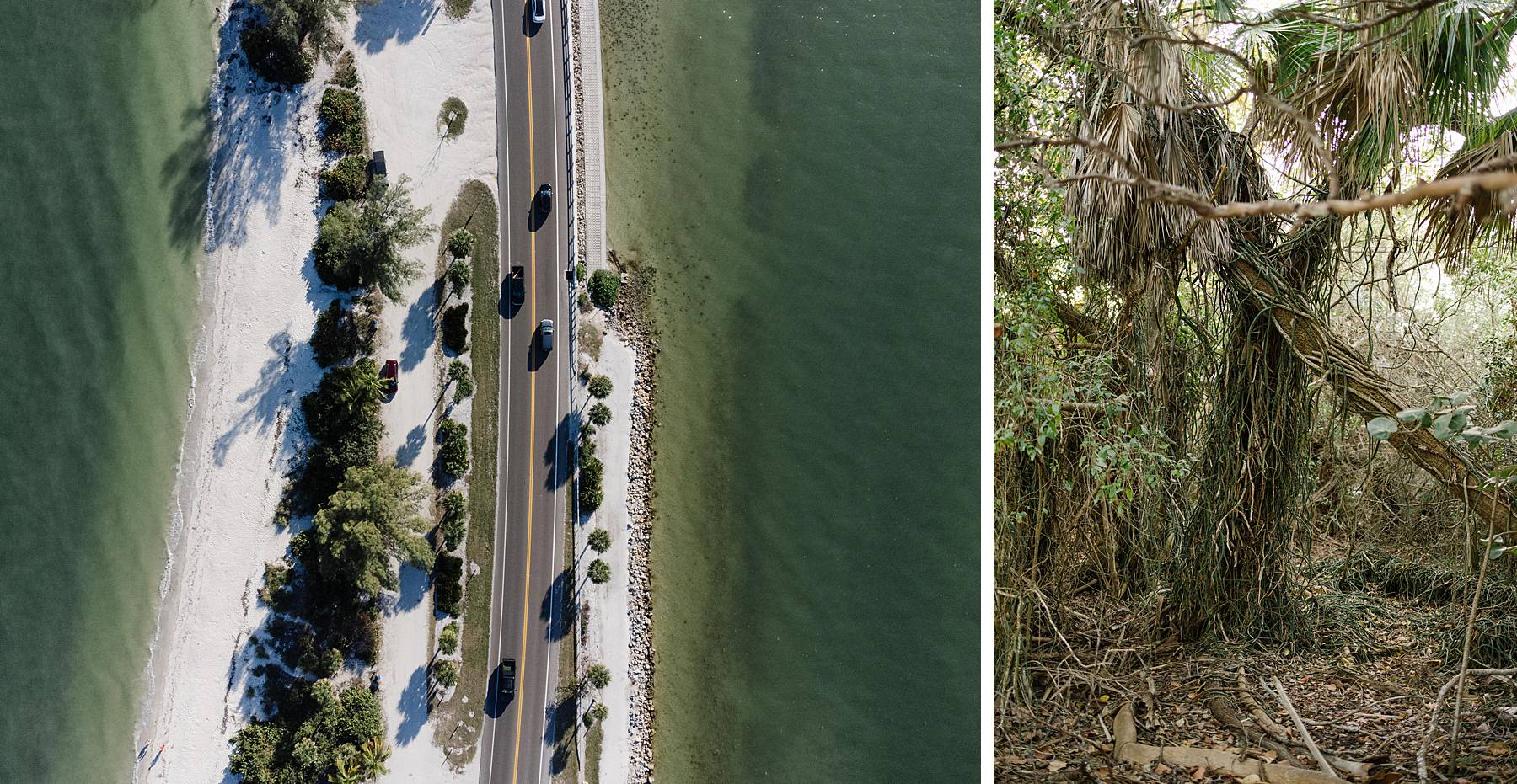 Lighthouse Beach Park | Family Portrait Session - shanelongphotography.com