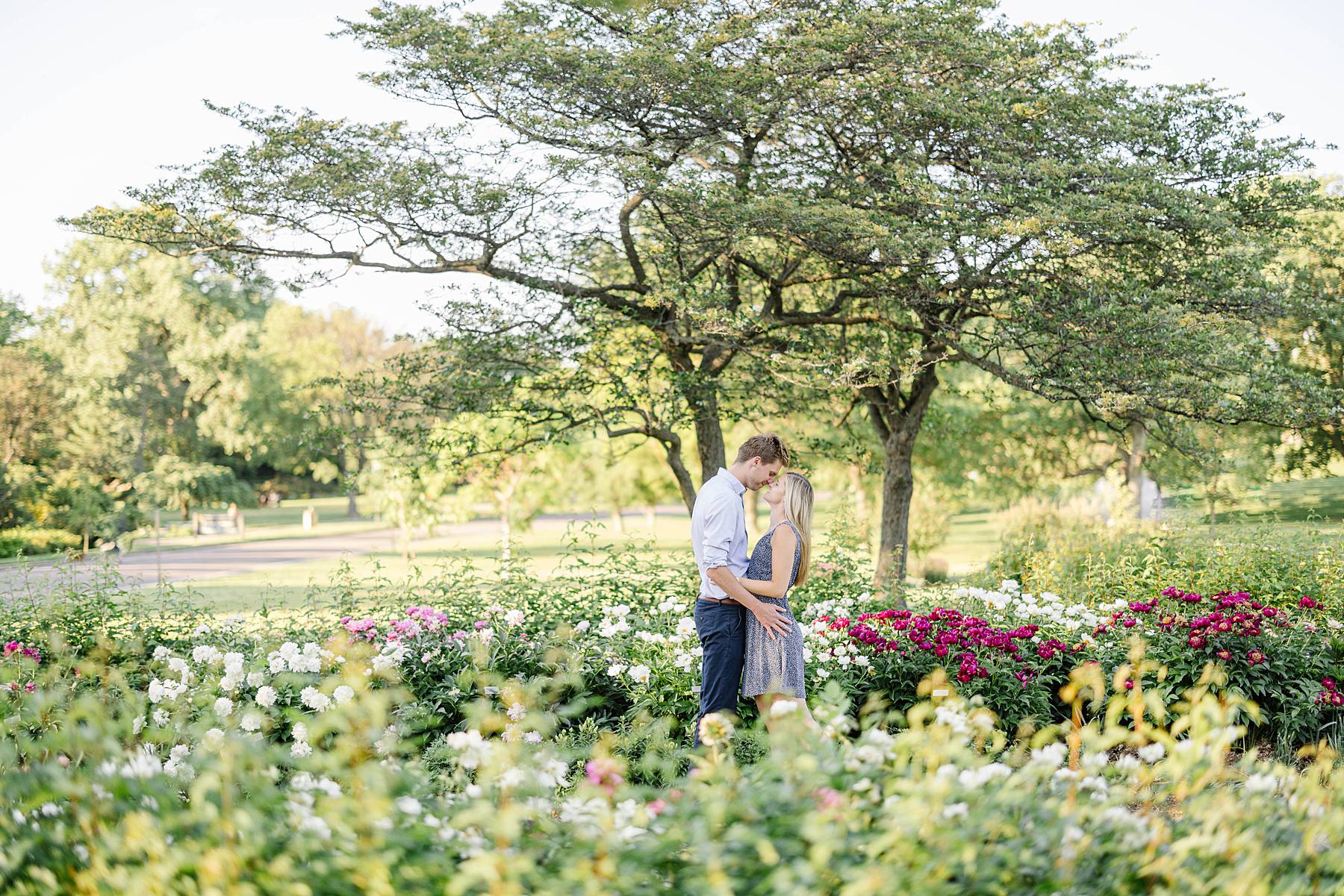 Lyndale Park Rose Garden | Summer Engagement - shanelongphotography.com