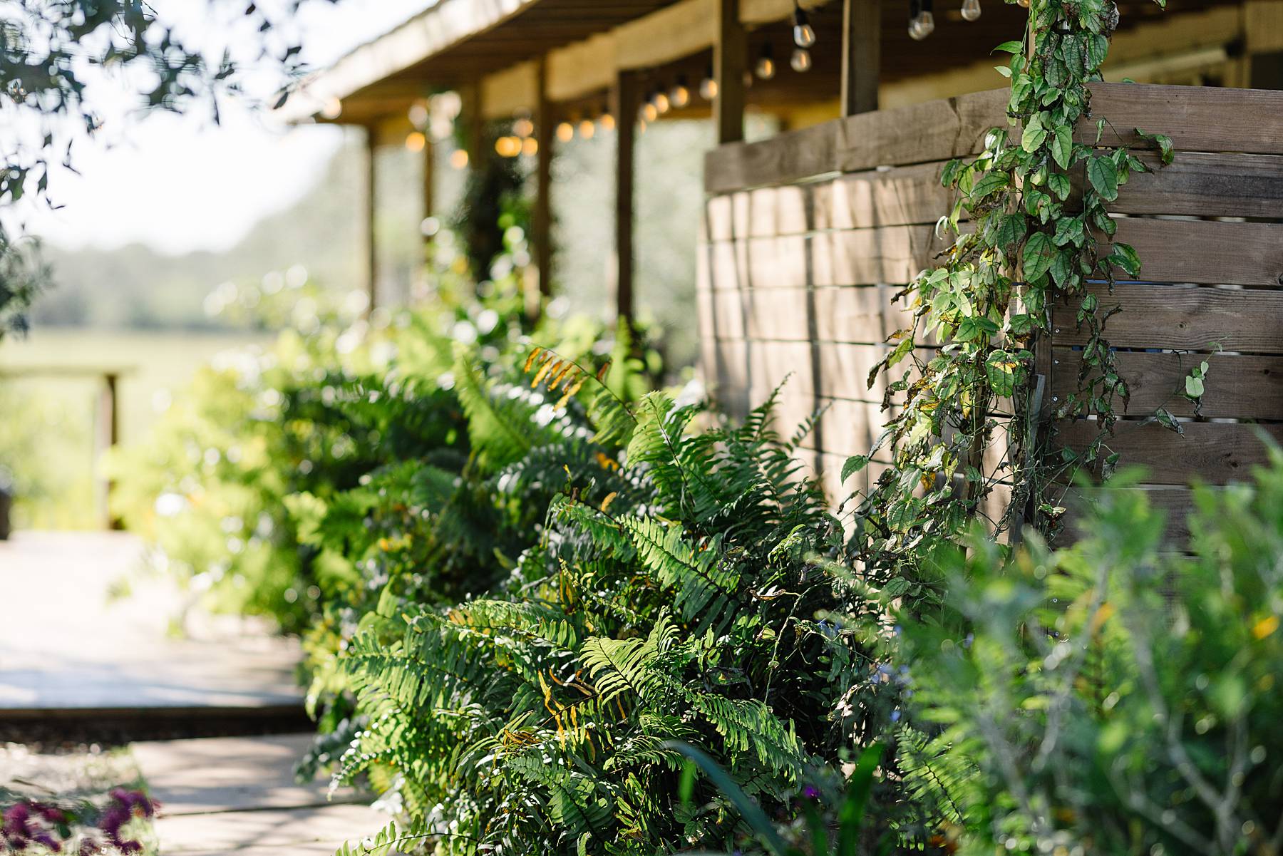A Line Ranch, Fort Myers | Wedding - shanelongphotography.com