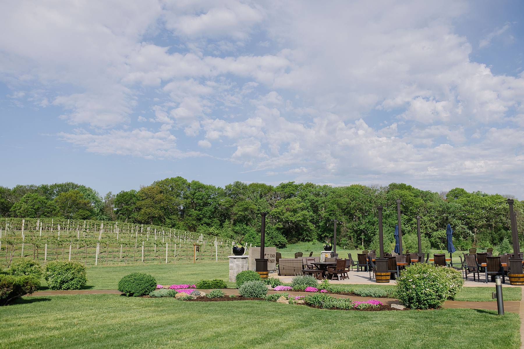 7 Vines Vineyard | Spring Wedding - shanelongphotography.com