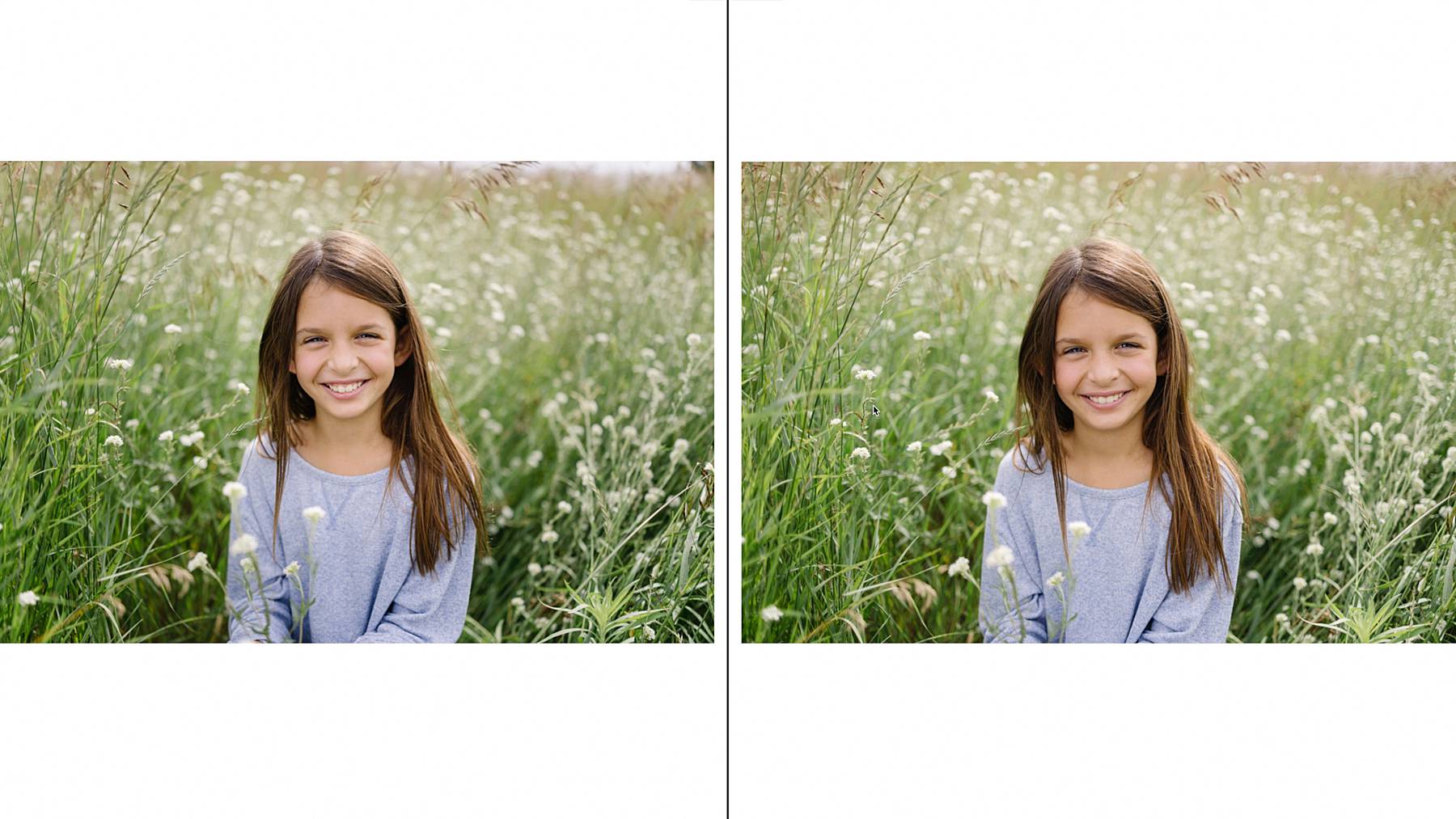 Canon RF35mm F1.4 L VCM | Lens Review - shanelongphotography.com